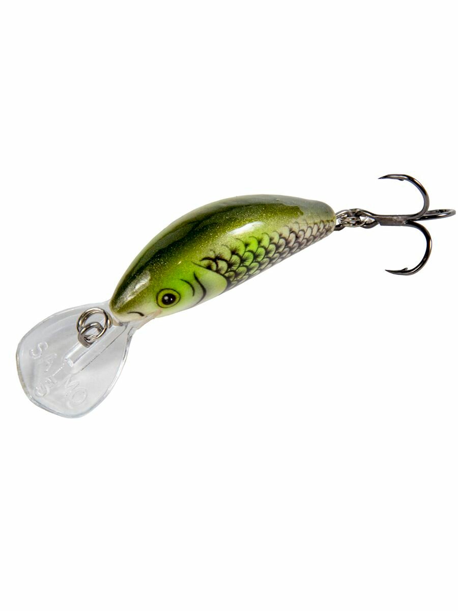 Воблер тонущий Salmo HORNET S 03.5/OHS