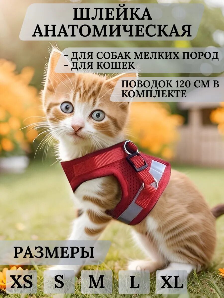 Шлейка для собак мелких пород и кошек с поводком