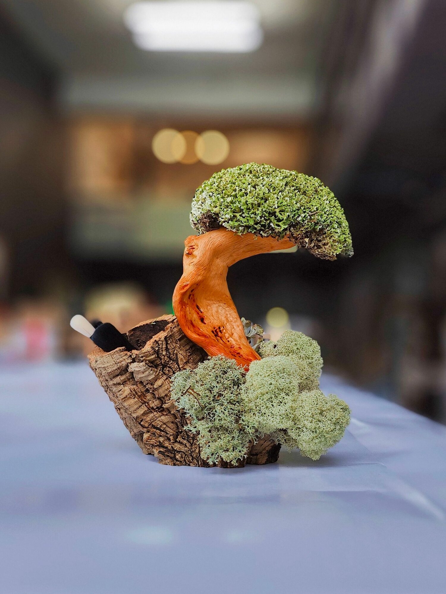 Статуэтка Бонсай Цетрария с органайзером