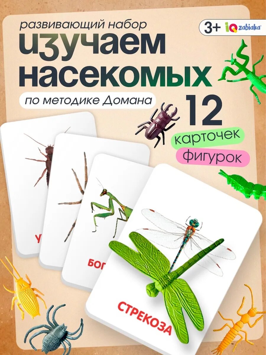 Развивающий набор с карточками «Мир насекомых», по методике