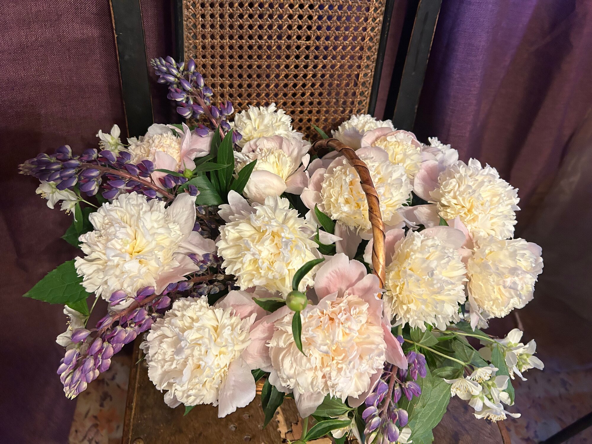 Пиономания