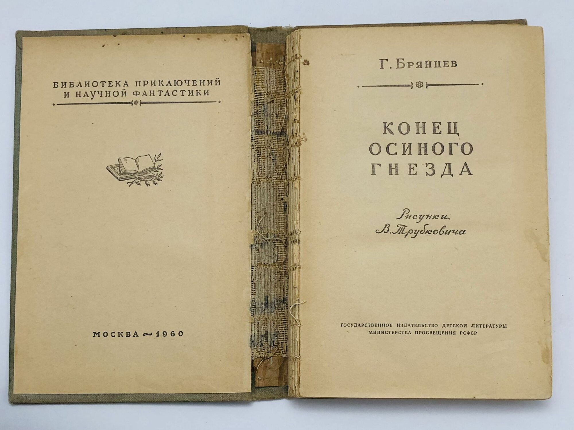 Конец осиного гнезда — фото 1