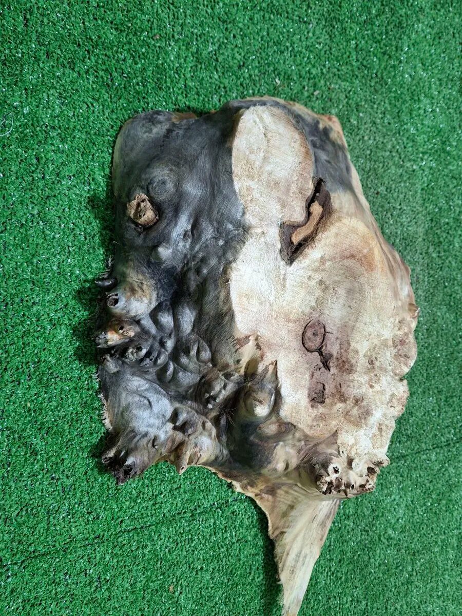 Заготовка для творчества тополь (350-270-70мм)