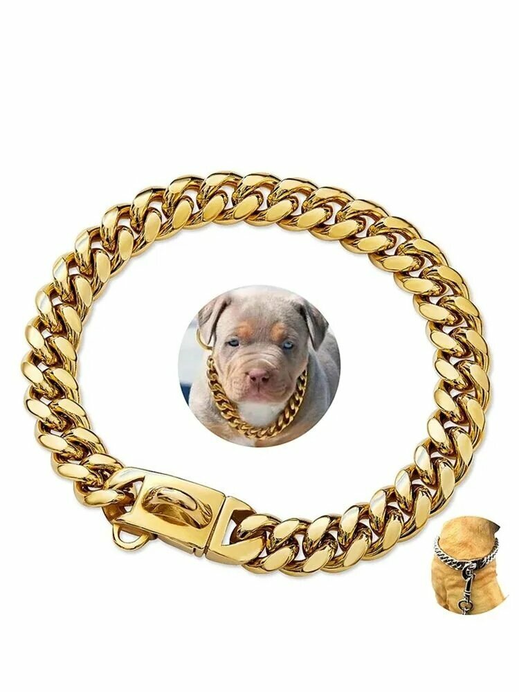 Ошейник для ротвейлера золотой, тяжелая цепь с металлическим замком, стиль "Босс" для крупных пород