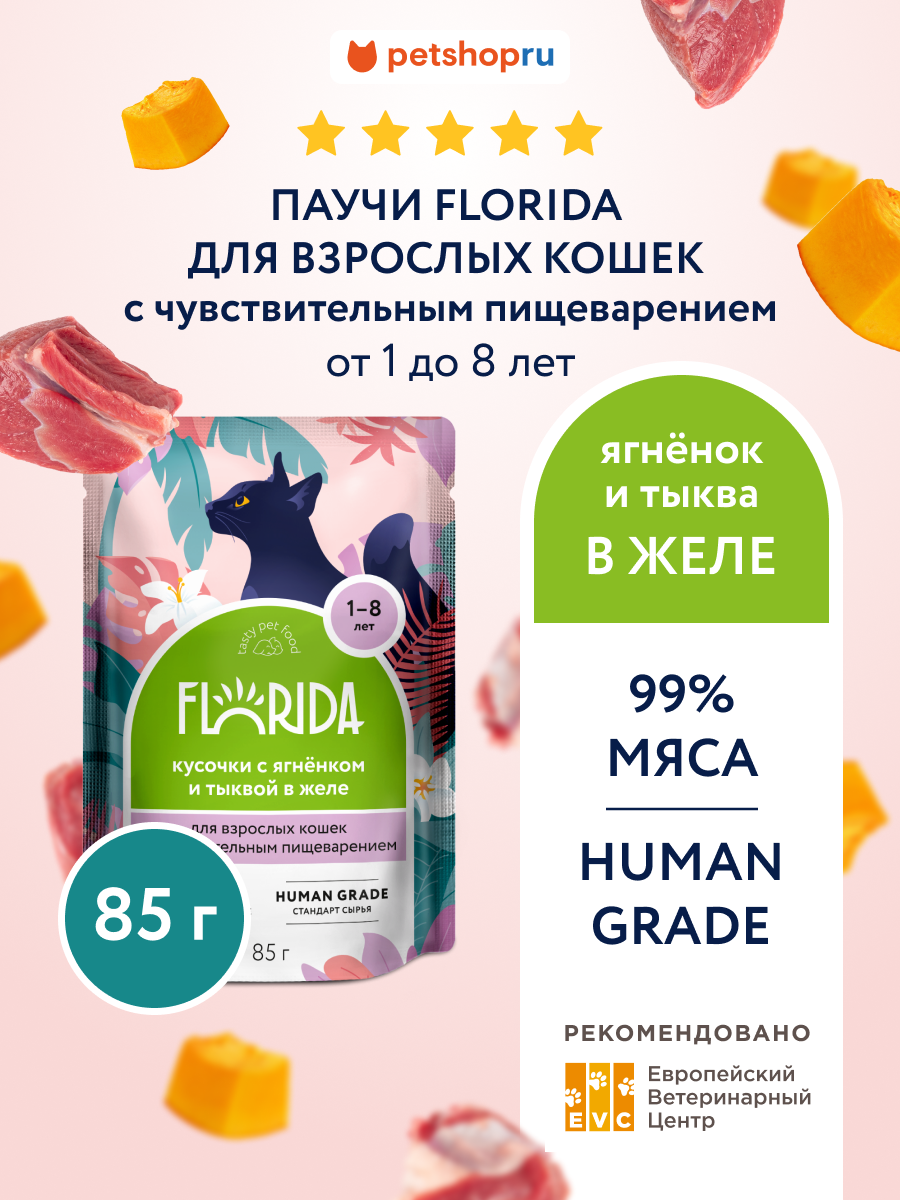 FLORIDA паучи для взрослых кошек с чувствительным пищеварением: кусочки с ягненком и тыквой в желе, 85 г Влажный корм