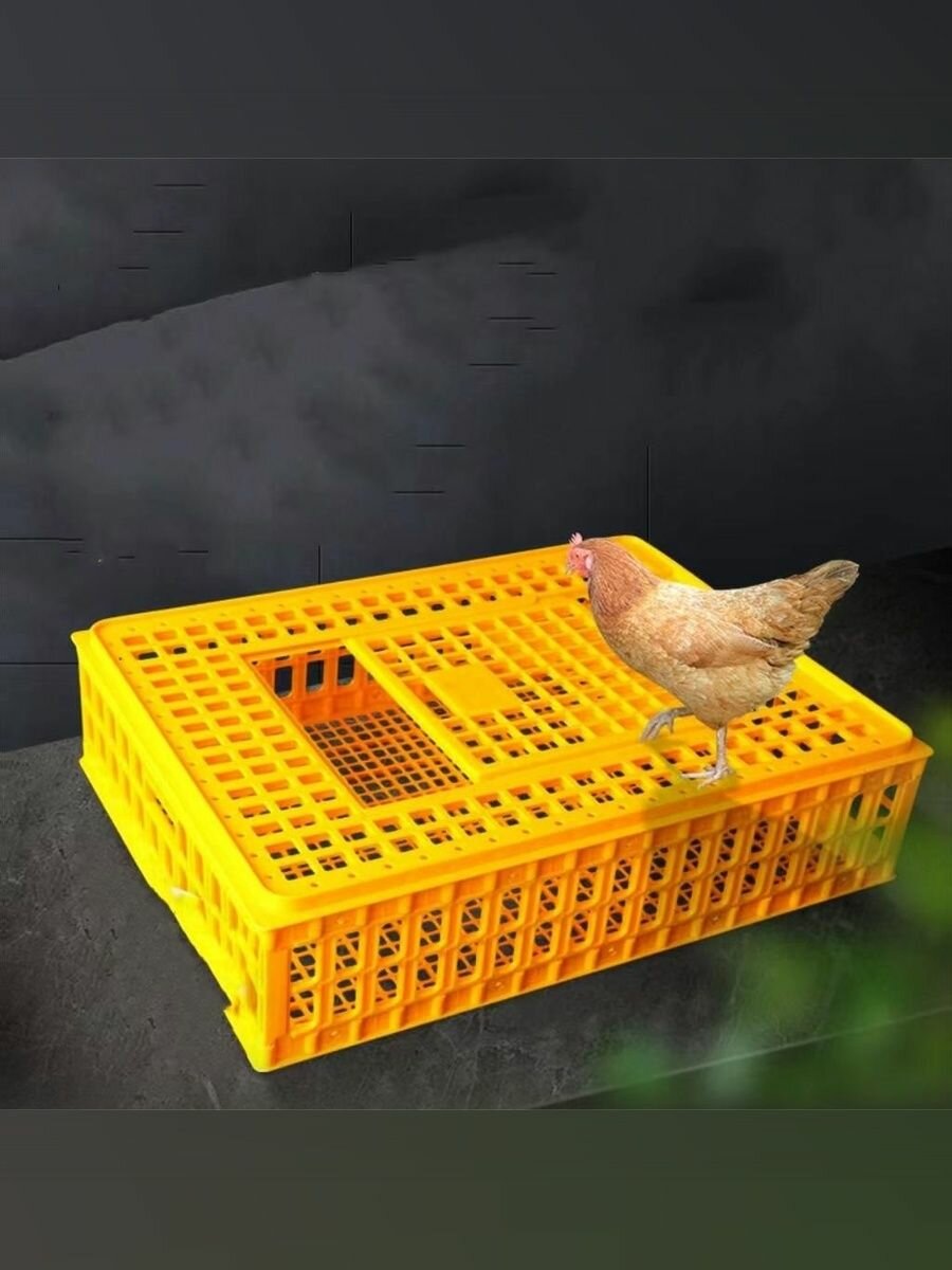 Подходит для транспортировки ящиков для кур, уток, гусей и кроликов; транспортировка домашней птицы размером 75х55х33см