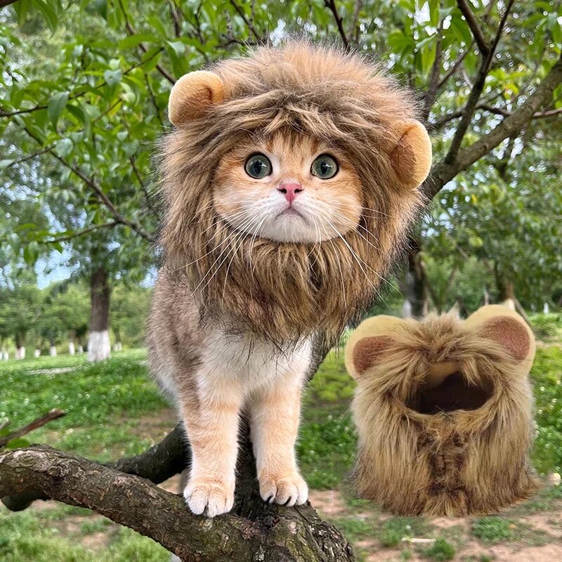 Шапка для кошки львёнка, костюм для питомца