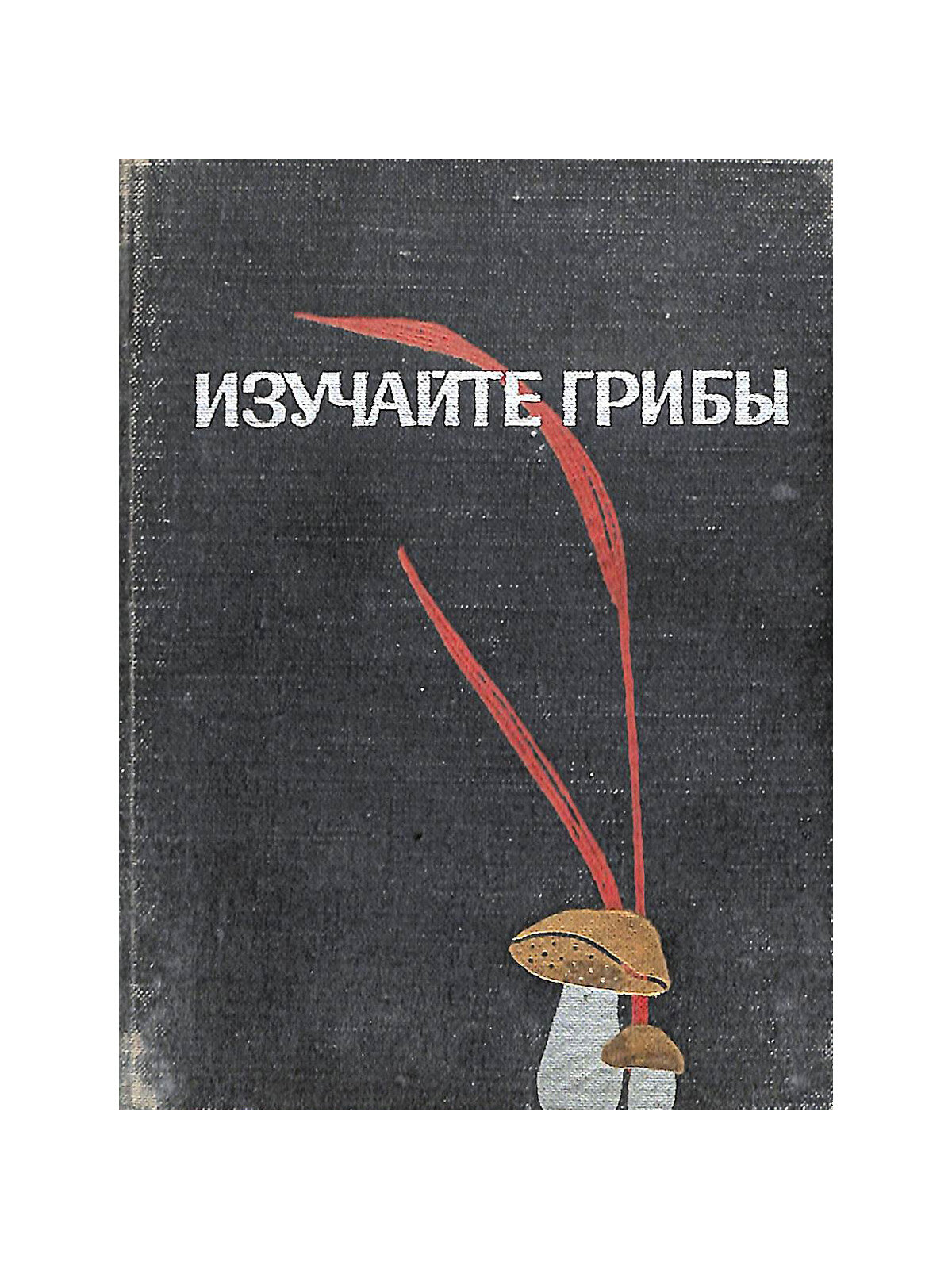 Изучайте грибы. 1968 год