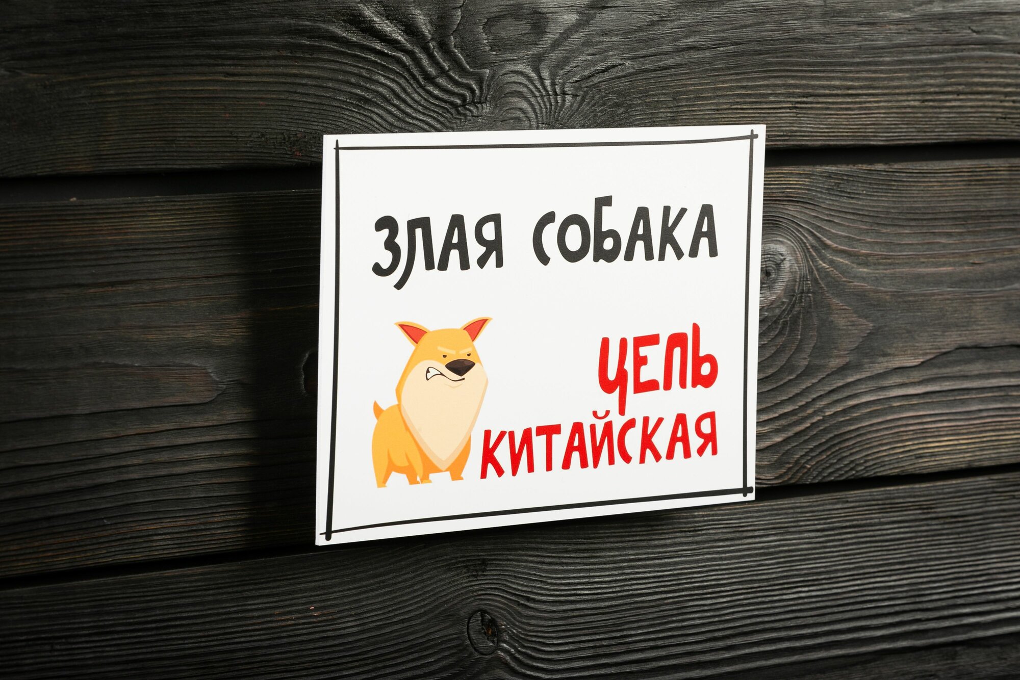 Декоративная табличка "Злая собака, цепь китайская"