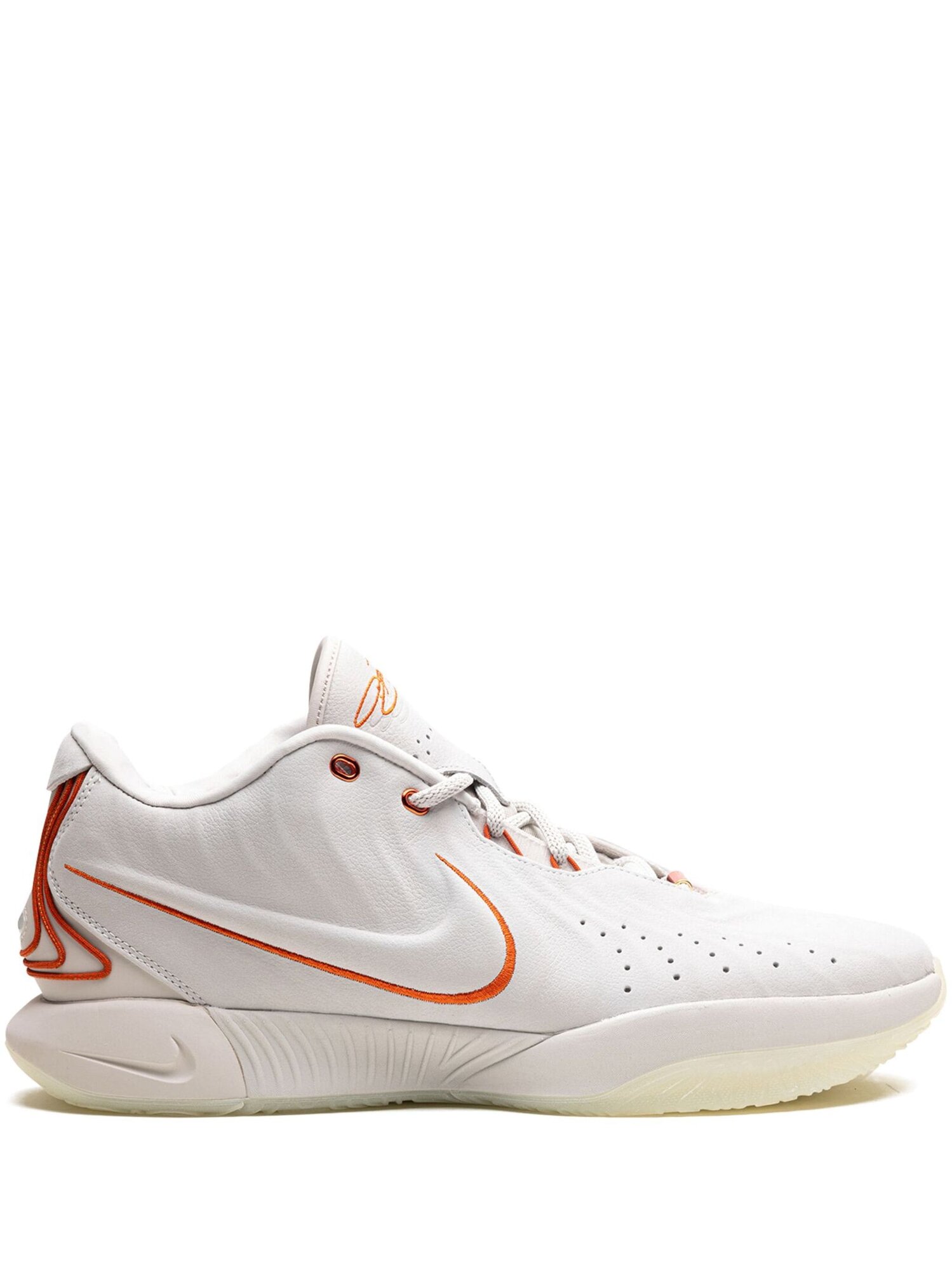Кроссовки LeBron 21 Akoya