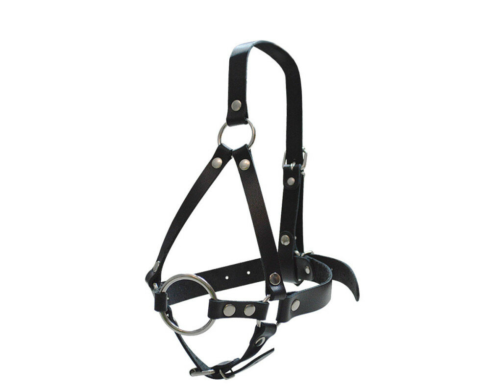 Кляп-рамка со сбруей на голову 3009-1