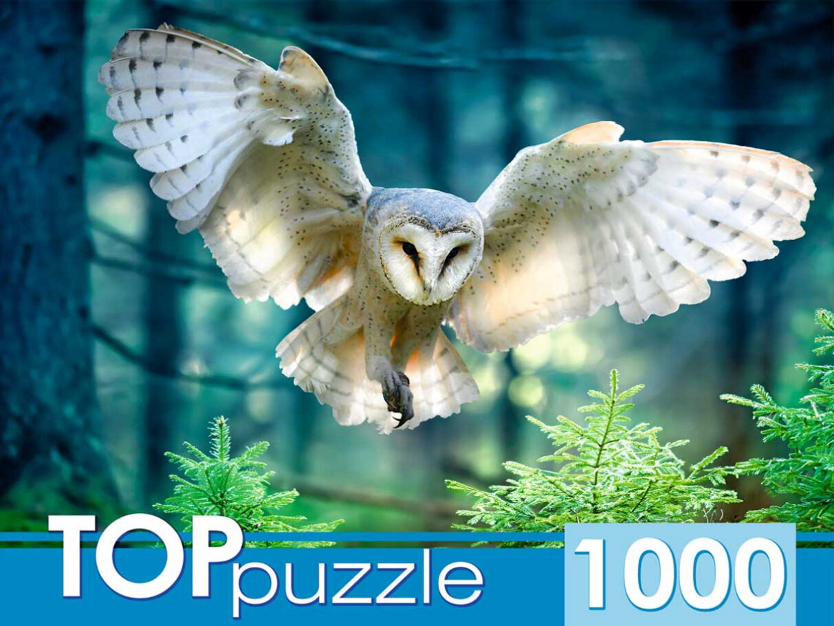 Пазл для взрослых TOP Puzzle 1000 деталей: Полет совы