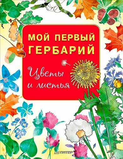 Мой первый гербарий. Цветы и листья / Детские книги