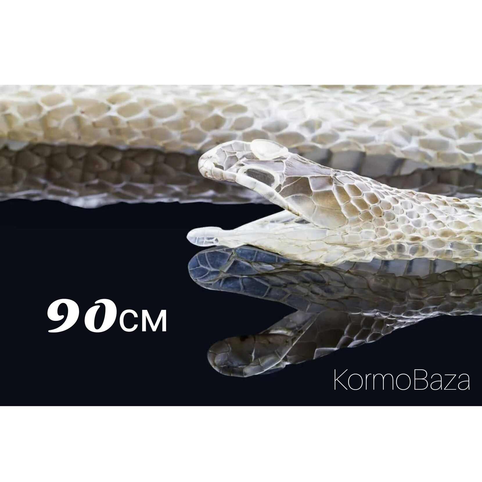 Выползки змей (шкура змеи после линьки), 90см