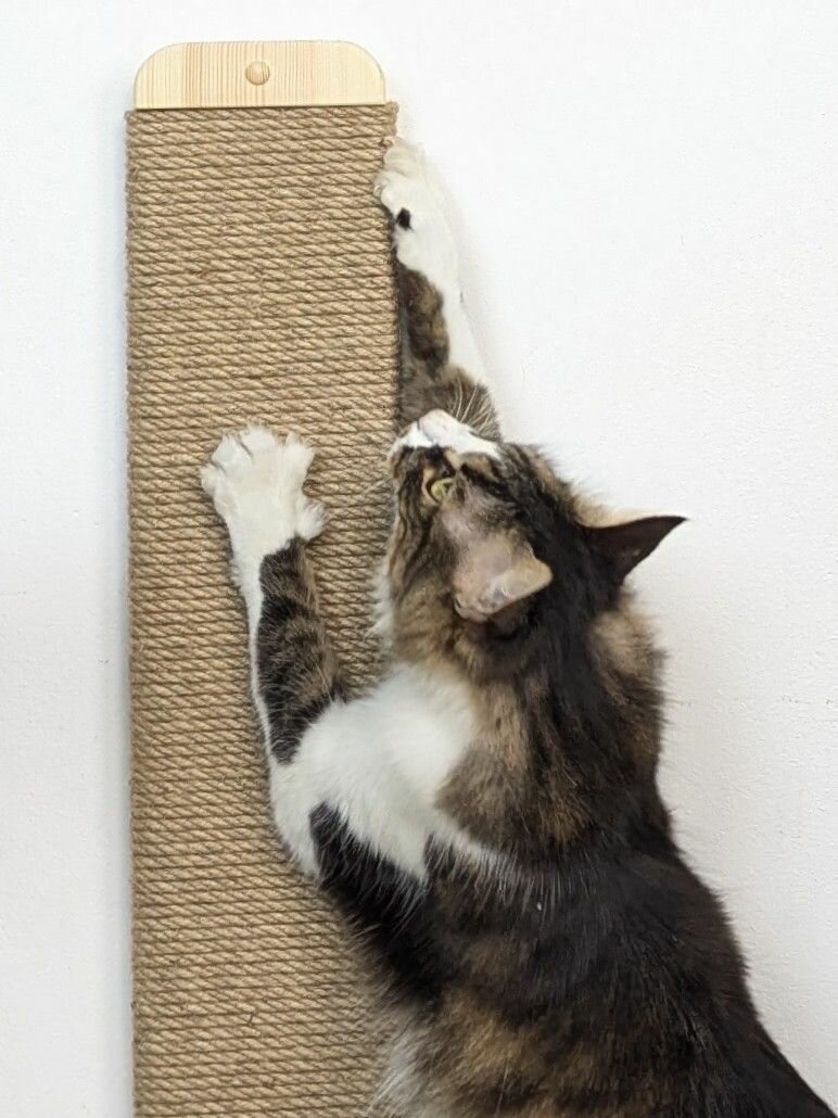 Когтеточка настенная джутовая, дерево, для кошек, 66 см х 13 см