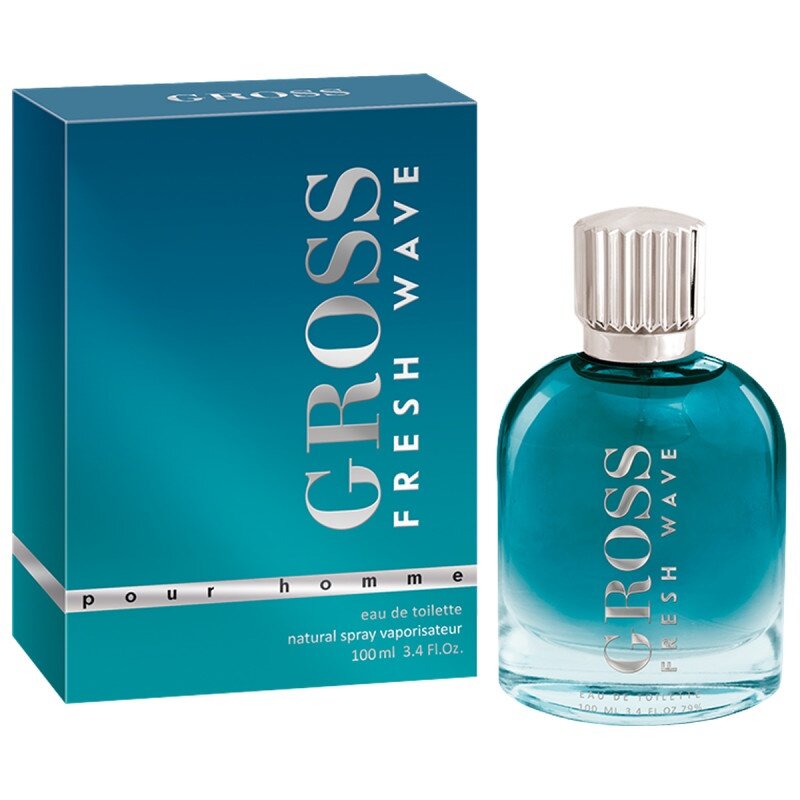Туалетная вода Christine Lavoisier Parfums мужская, Gross Fresh Wave 100 мл, голубая