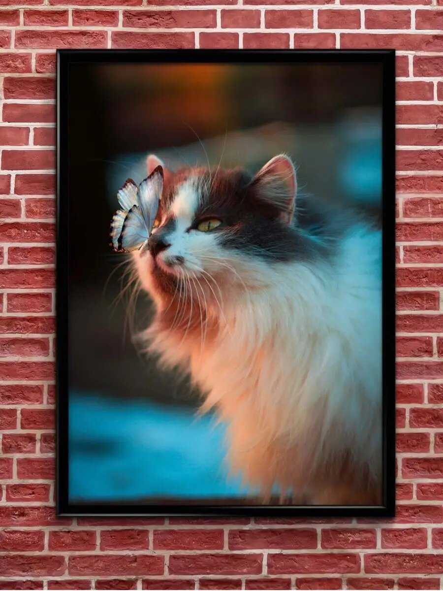 Плакат, Постер на стену "Кот" формат А3 30*40