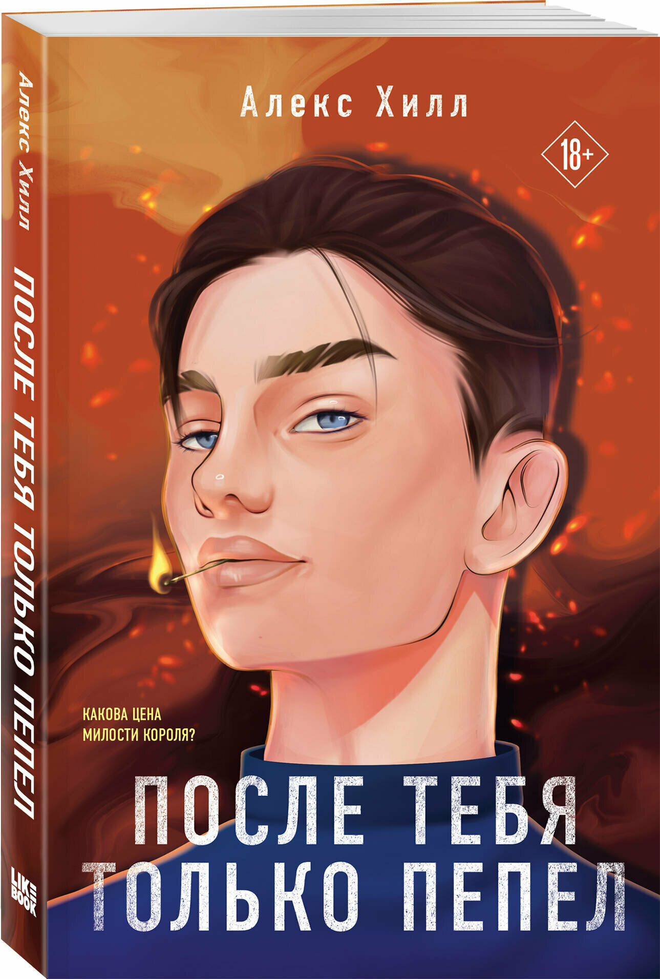 Хилл А. После тебя только пепел