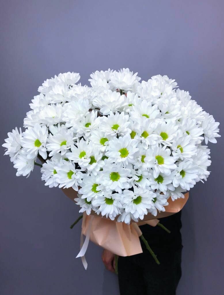 Букет "PROTEA - Студия Цветов", из белых хризантем, на стебле, 9 шт