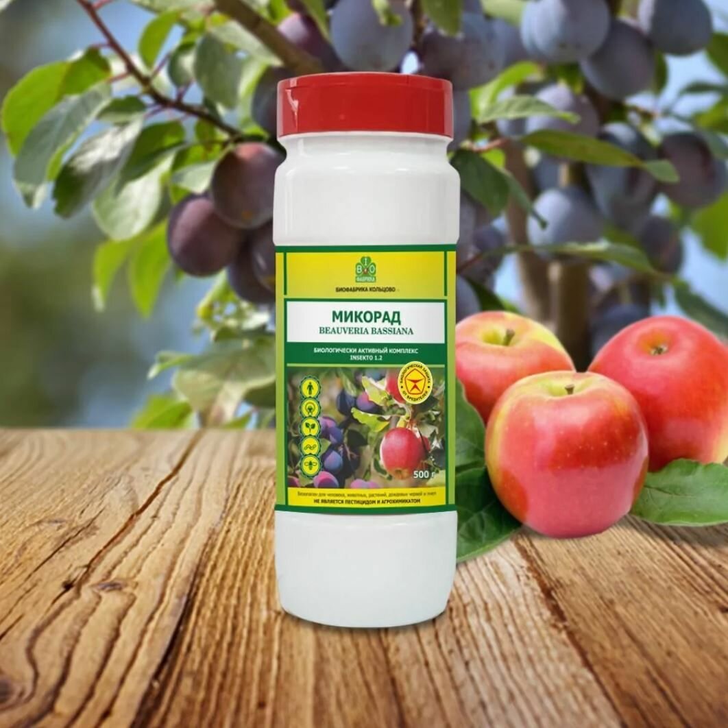 Экологичный биоинсектицид Биофабрика Кольцово "Микорад INSEKTO 1.2", Beauveria Bassiana, от вредителей, 500 гр