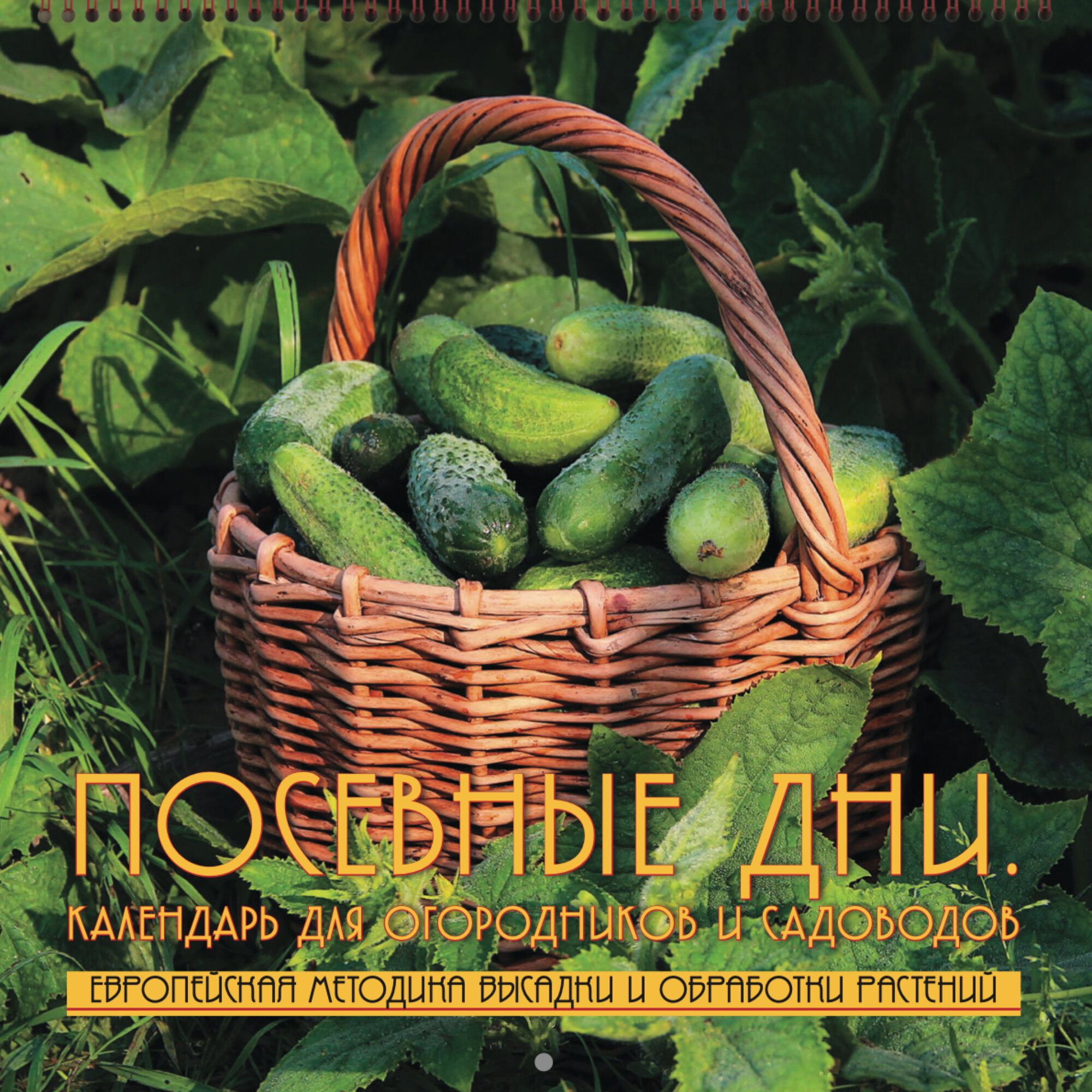 Календарь настенный 2026 Посевной Лунный, для Огородников и Садоводов, Посевные Дни, 290х580 мм