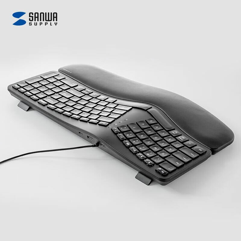 SANWA SUPPLYERG5 101-Key Wired Keyboard, Ergonomic Membrane Keyboard, 3 USB Ports, Soft Cushion Wrist Rest, Includes Type-C Conversion Cable