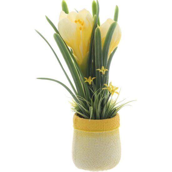 Цветочная композиция Remeco Collection "Крокусы" 12х10х22 см