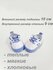 Пинетки, размер 10 см по подошве, голубой/белый