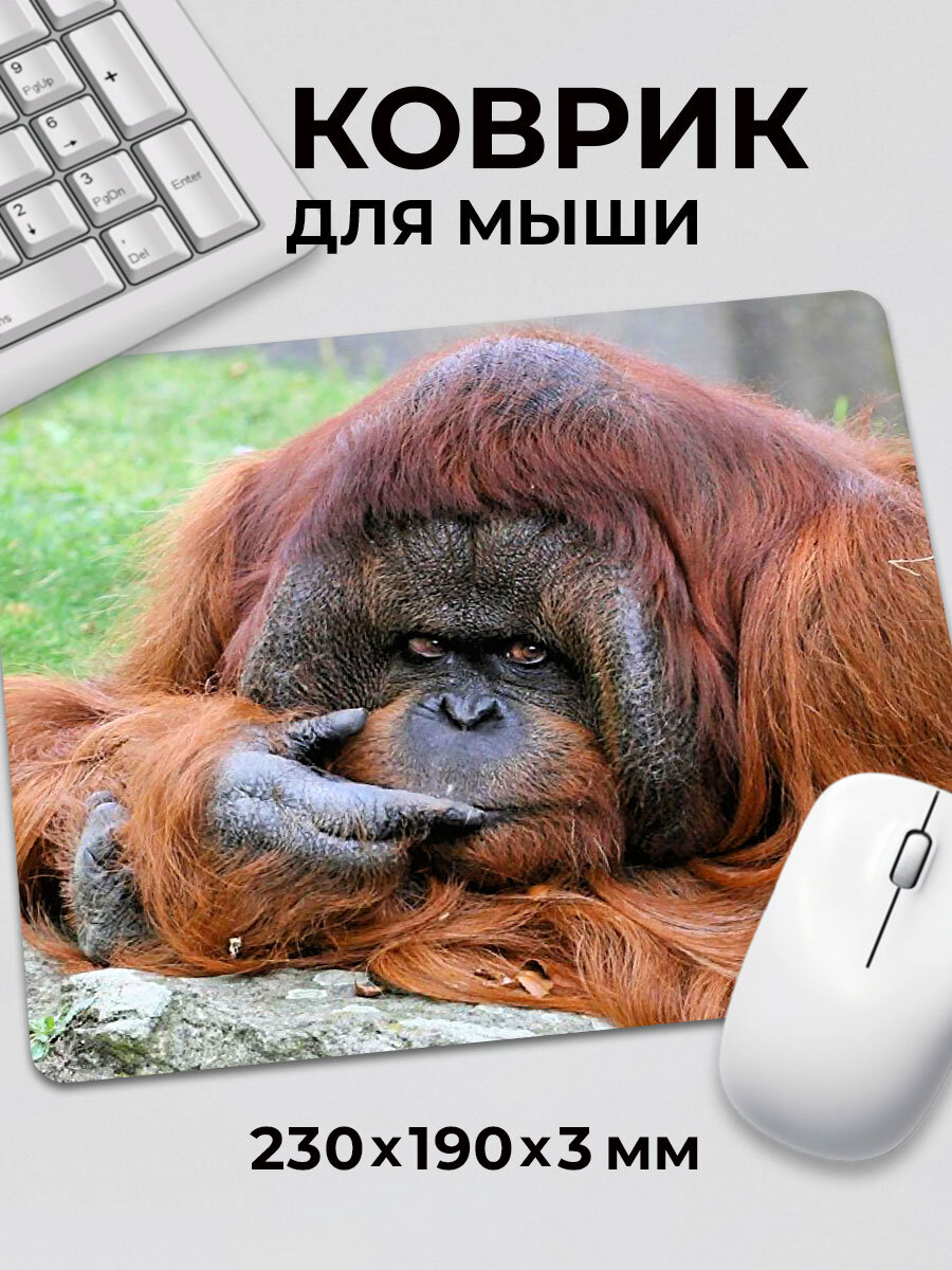 Коврик для мышки игровой маленький Суматранский орангутан c тканевой поверхностью, на нескользящем резиновом основании