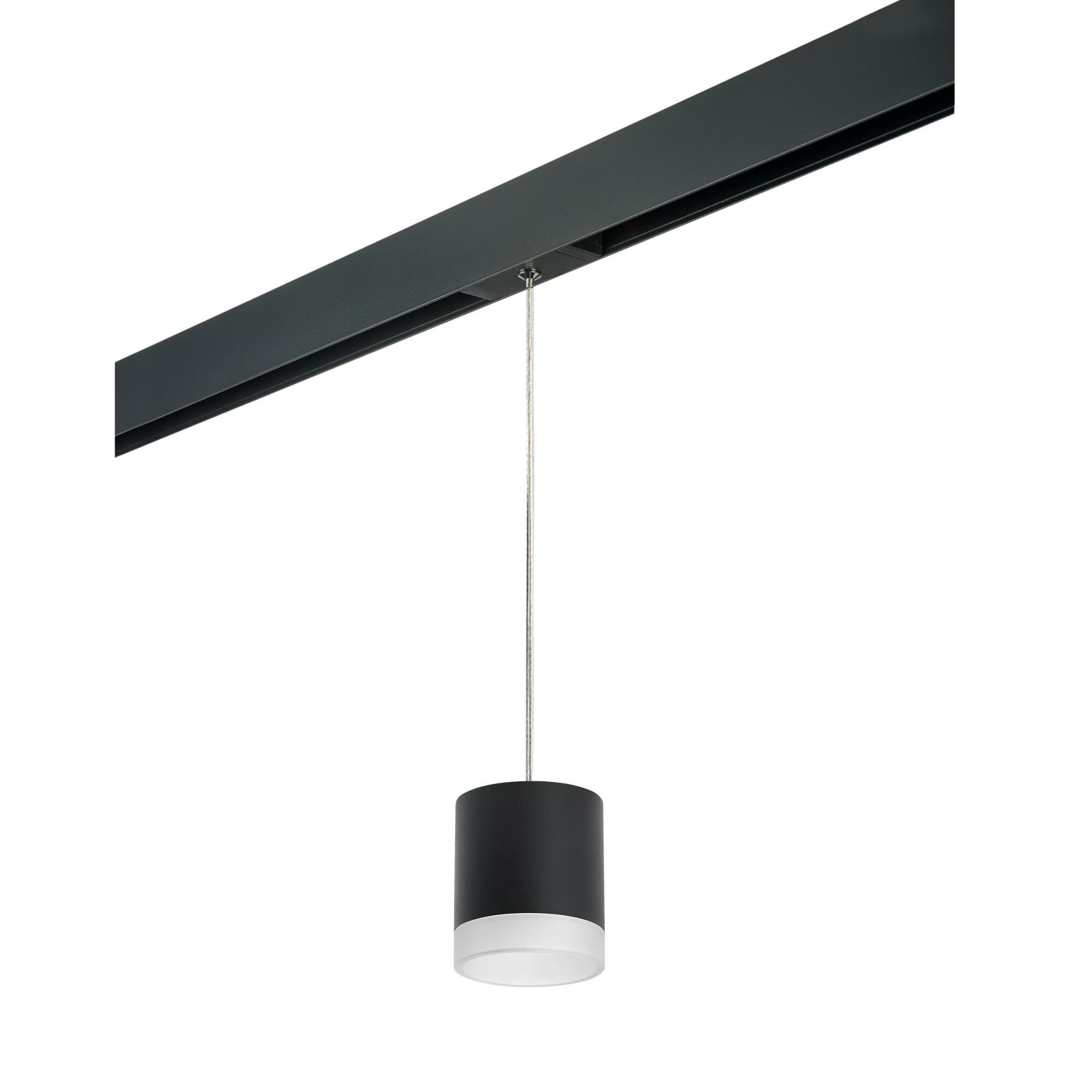 Трековый светильник Lightstar Rullo PRORP348780 (213487+595887+202480)