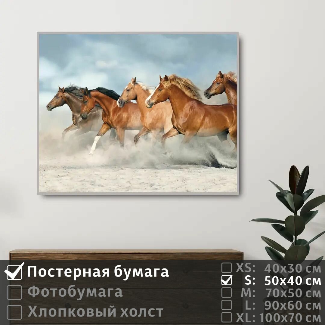 Постер на стену Лошади Скачут По Песку 50х40 см ПолиЦентр