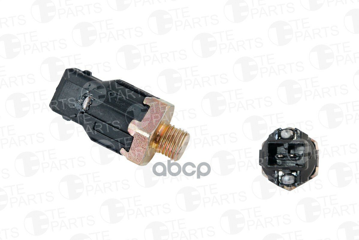 Датчик детонации renault / TE PARTS арт. 86038689