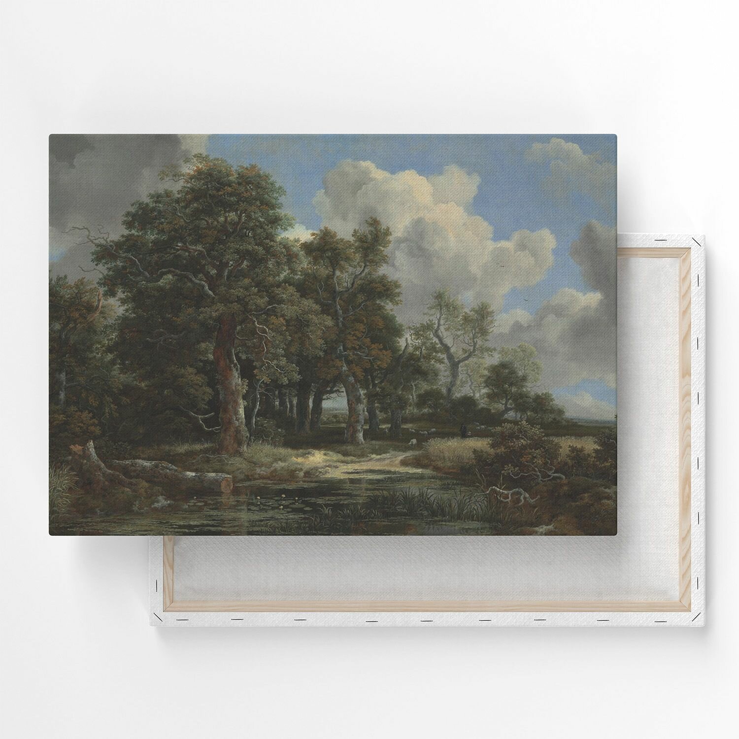 Картина на холсте, репродукция / Якоб ван Рёйсдал - Edge of a Forest / Размер 30 x 40 см