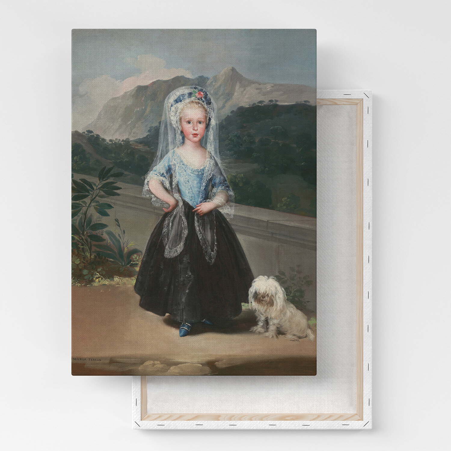 Картина на холсте, репродукция / Франсиско Гойя - Maria Teresa de Borbon / Размер 80 x 106 см