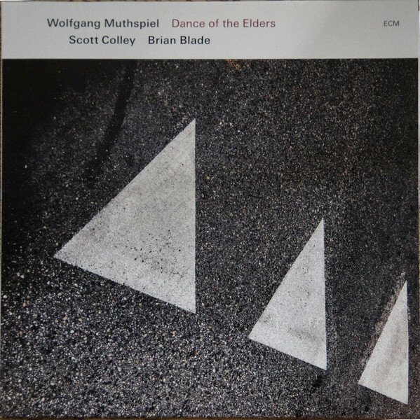 WOLFGANG MUTHSPIEL / SCOTT COLLEY / BRIAN BLADE Dance Of The Elders (LP)