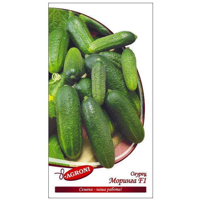 Семена огурец Моринга F1 0,3г. Агрони