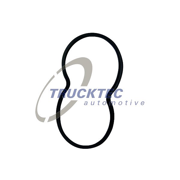 TRUCKTEC 04.19.107 прокладка термостата