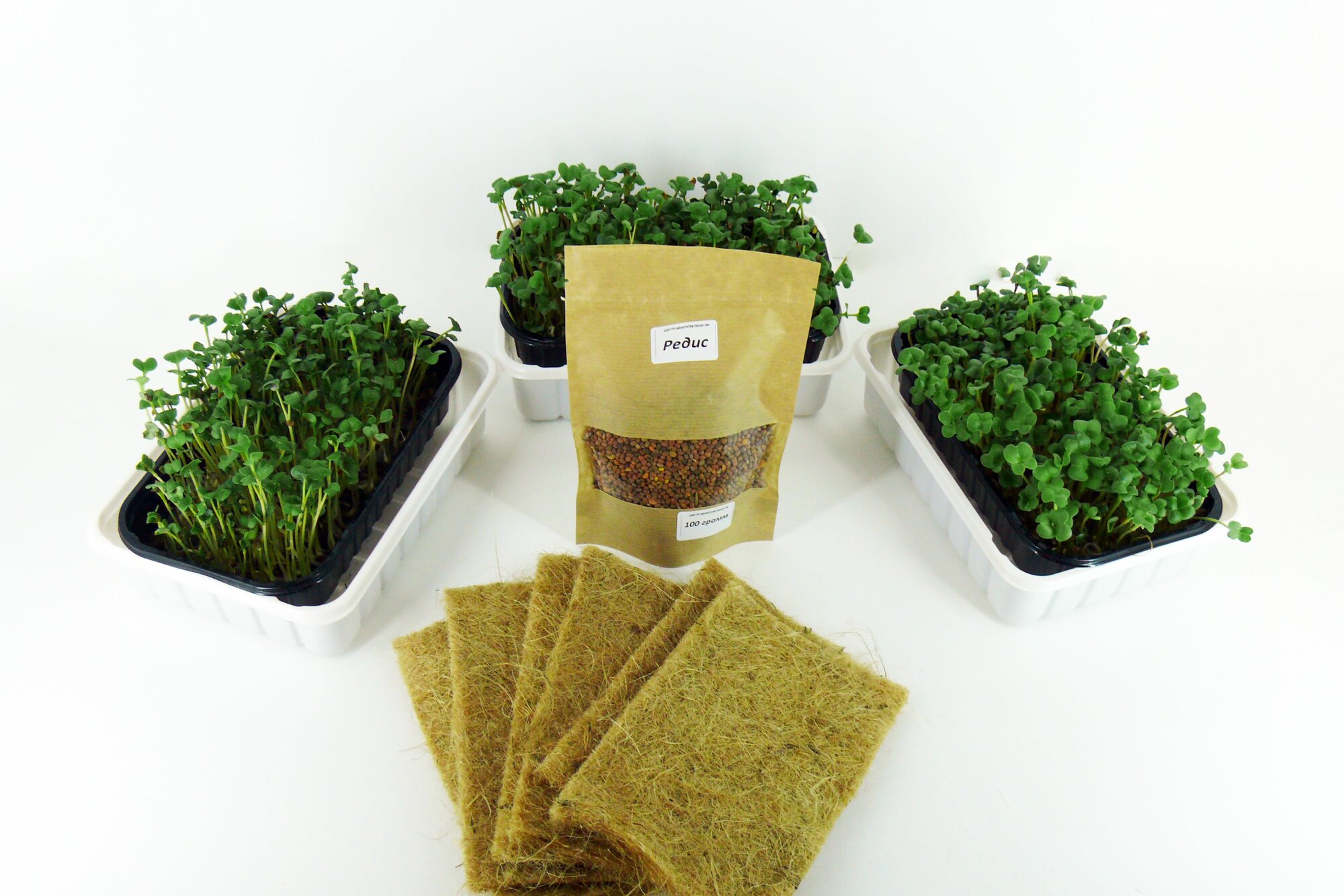 Семена Микрозелень "Редис", для выращивания, 50 г