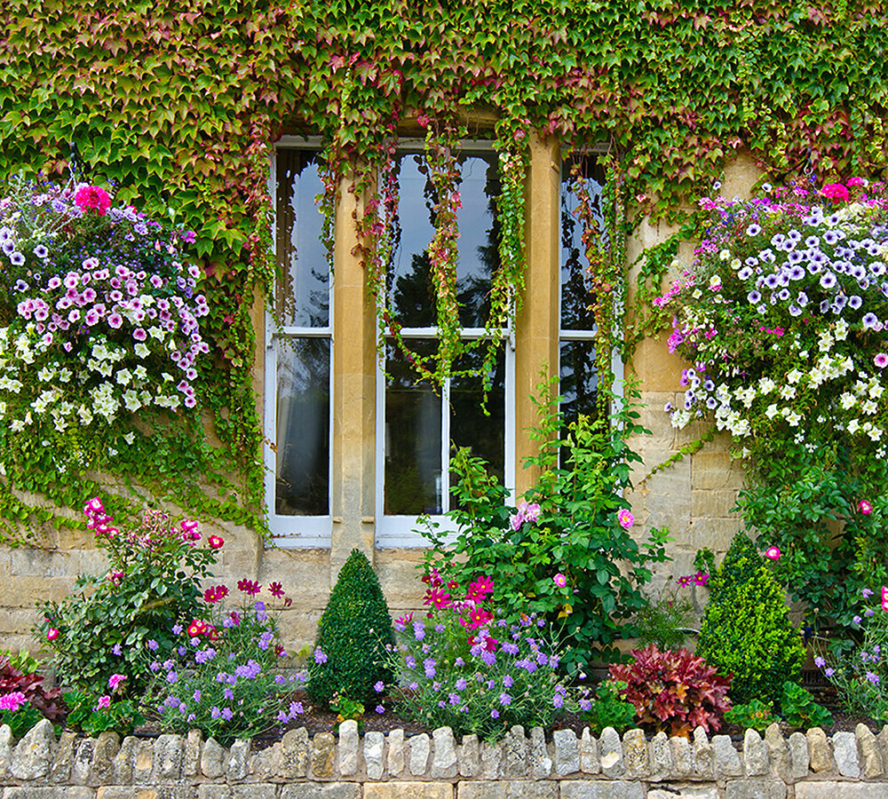 Фотообои Divino Decor "Палисадник" D-003 300*270 фактура холст