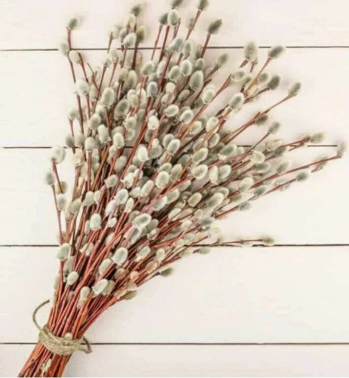 Верба живая 51 шт / Вербный букет / Пасхальная композиция