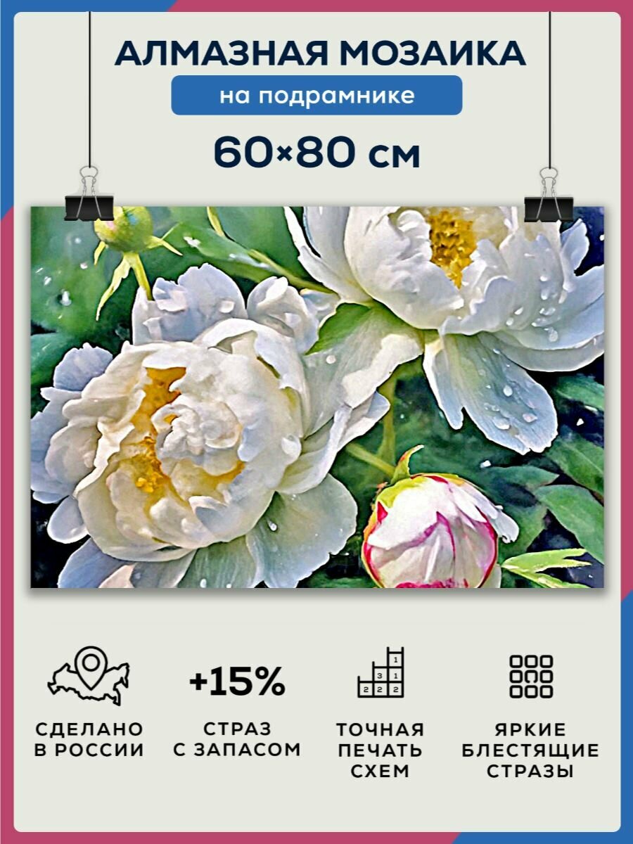 Алмазная мозаика 60x80 Белые пионы на подрамнике