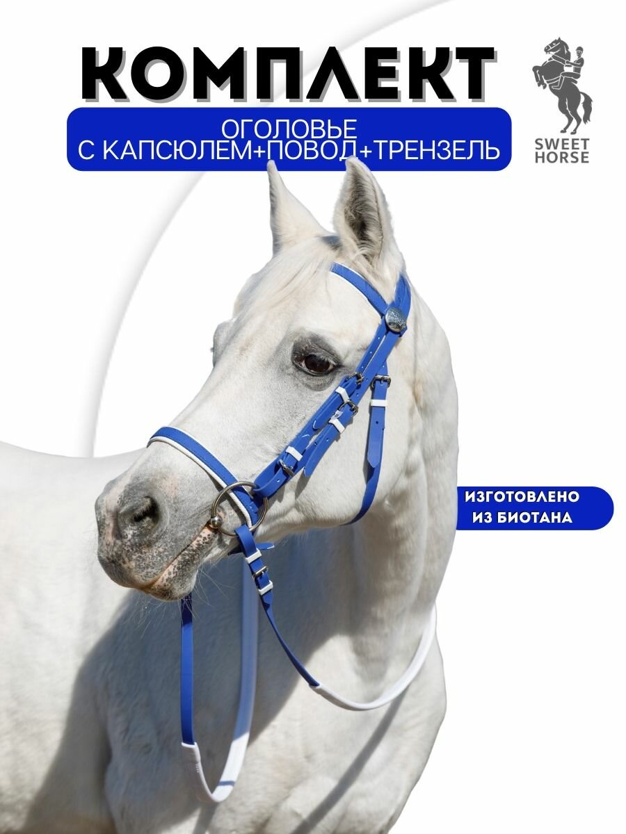 Sweethorse / Оголовье с капсюлем + повод + трензель, синий, Cob