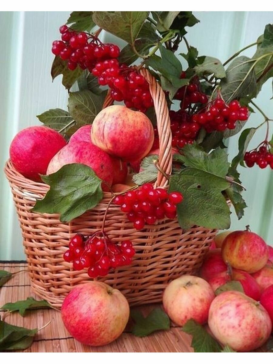 Алмазная мозаика на подрамнике 40x50 Летний Натюрморт