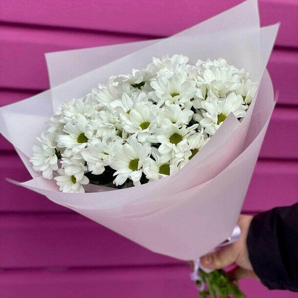 Букет Well Flowers, круглый, 9 кустовых хризантем, свежий букет цветов