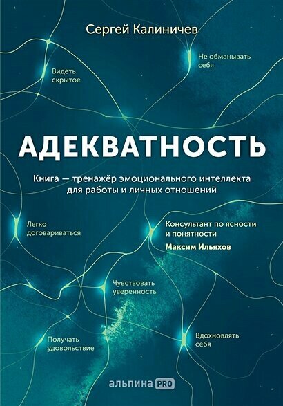 Калиничев С. Адекватность. Как видеть суть происходящего, принимать хорошие решения и создавать результат без стресса, (АльпинаПаблишер, 2024), Обл, c.336
