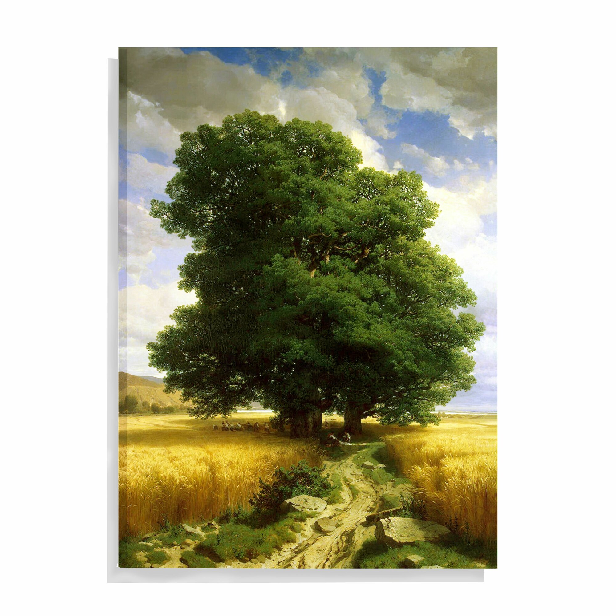 Картина на холсте, репродукция Пейзаж с дубом - Александр Каломн