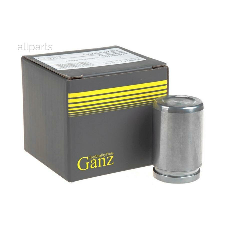 GANZ GUR14701 Поршень заднего тормозного суппорта для HYUNDAI Accent 05-10/KIA Rio II 05-10 /D=31,00mm GANZ GUR14701
