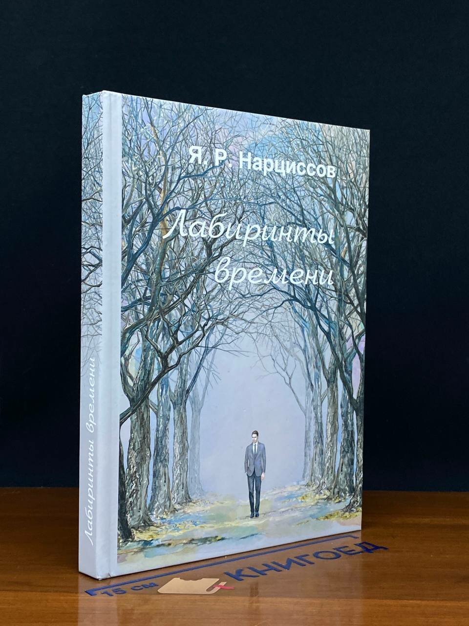 Книга. Лабиринты времени 2014 (2043065113276)