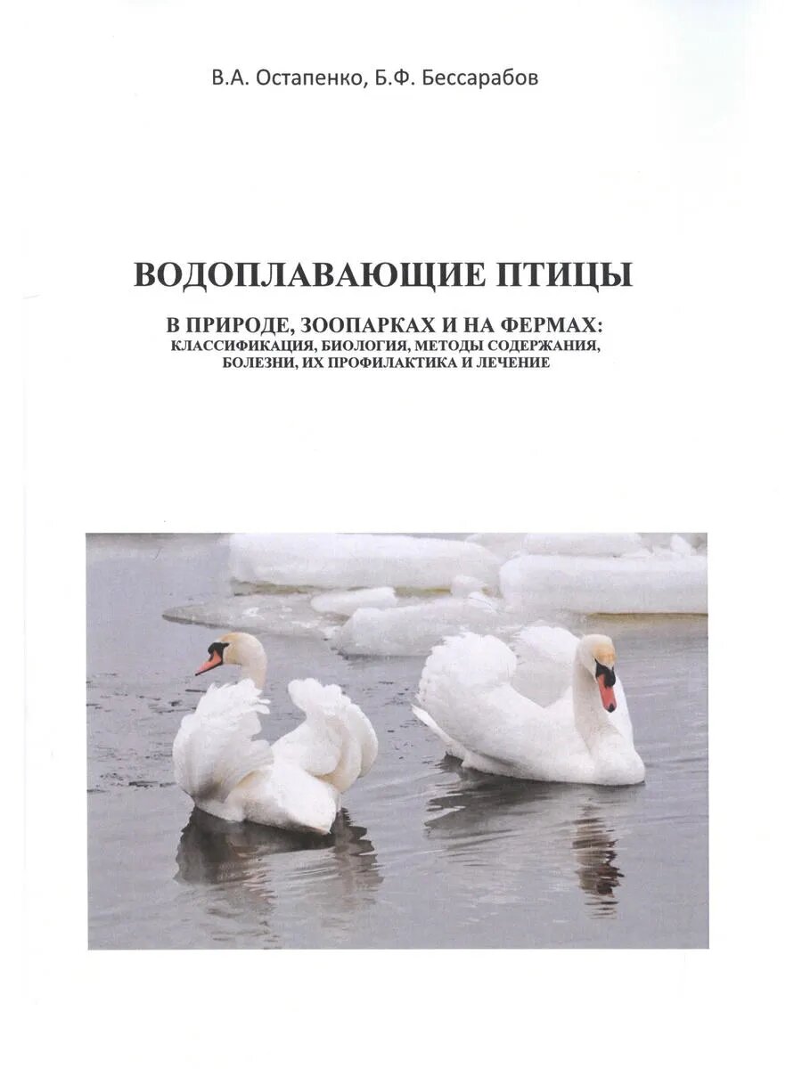 Водоплавающие птицы. В природе, зоопарках и на фермах: класс
