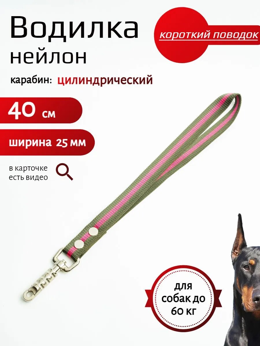 Водилка Хвостатыч для собак с цилиндрическим карабином нейлон 40 см х 25 мм (зелено-красный)